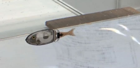 New ‘fishy’ robot run on new Power Tube fuel cell, can swim for three ...
